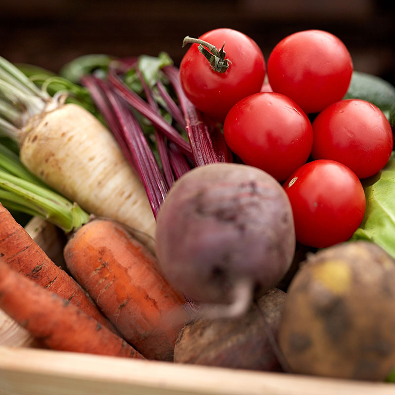 Five summer vegetables