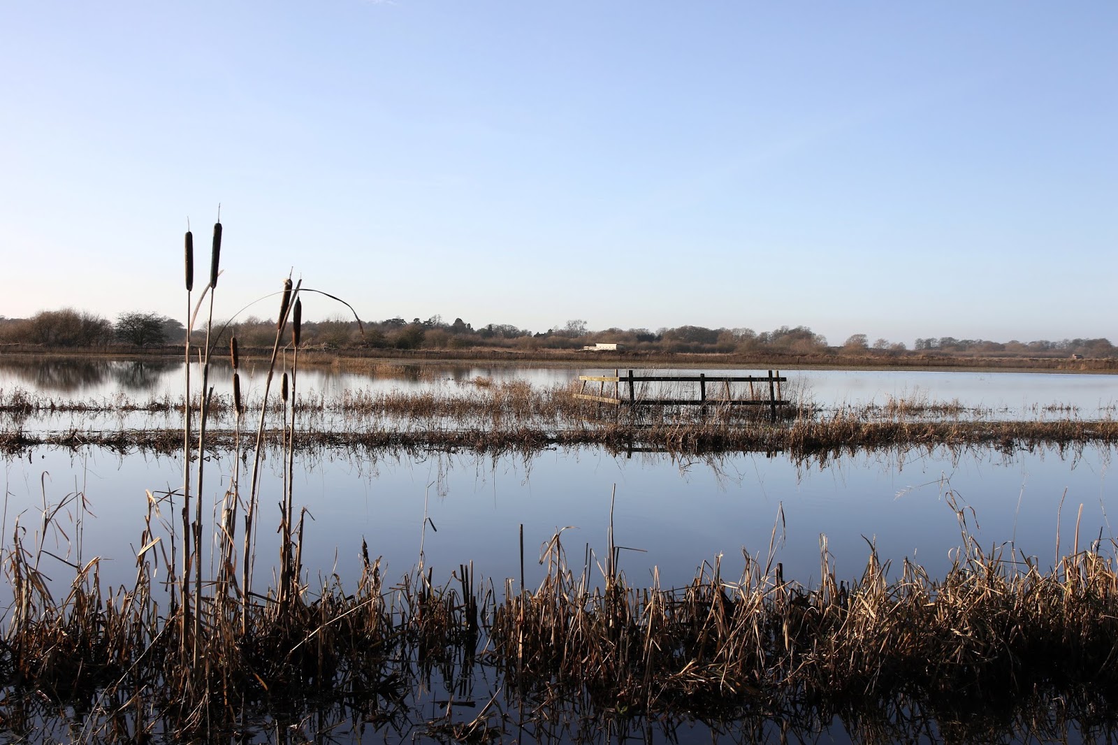 Baggins on the loose: Festive season catch up - Lower Derwent Valley ...