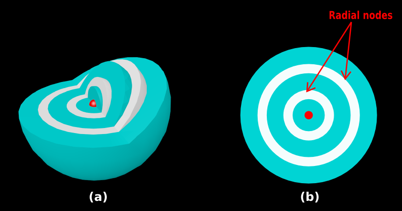 Higher Secondary Chemistry: Chapter 2.16 - Radial Nodes and Angular Nodes