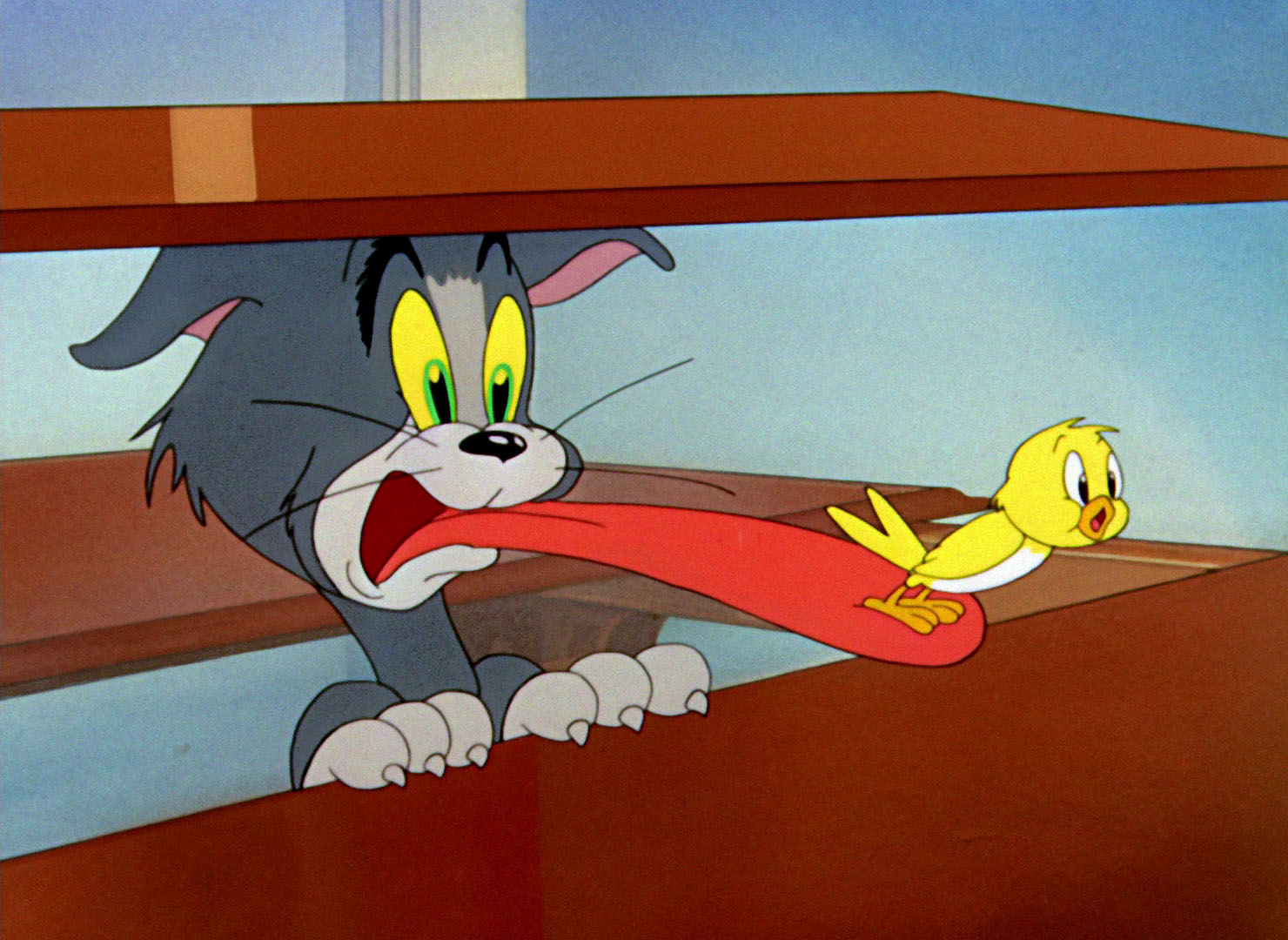 Tom & Jerry Pictures: "Kitty Foiled"