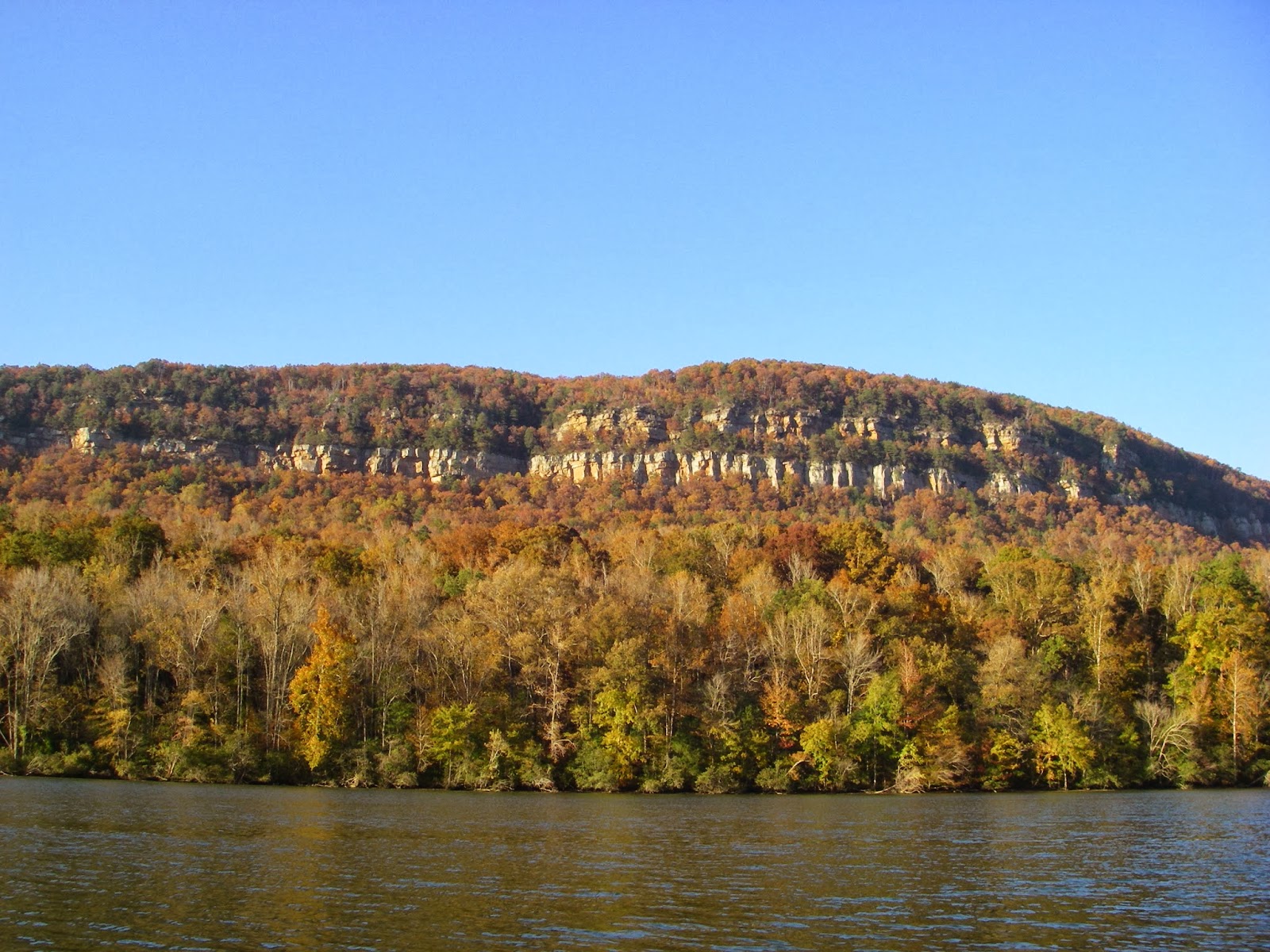 The Tennessee River Gorge