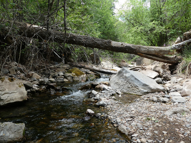Land Cruising Adventure: Nebo Loop | Ponderosa Campground | Nephi | Utah