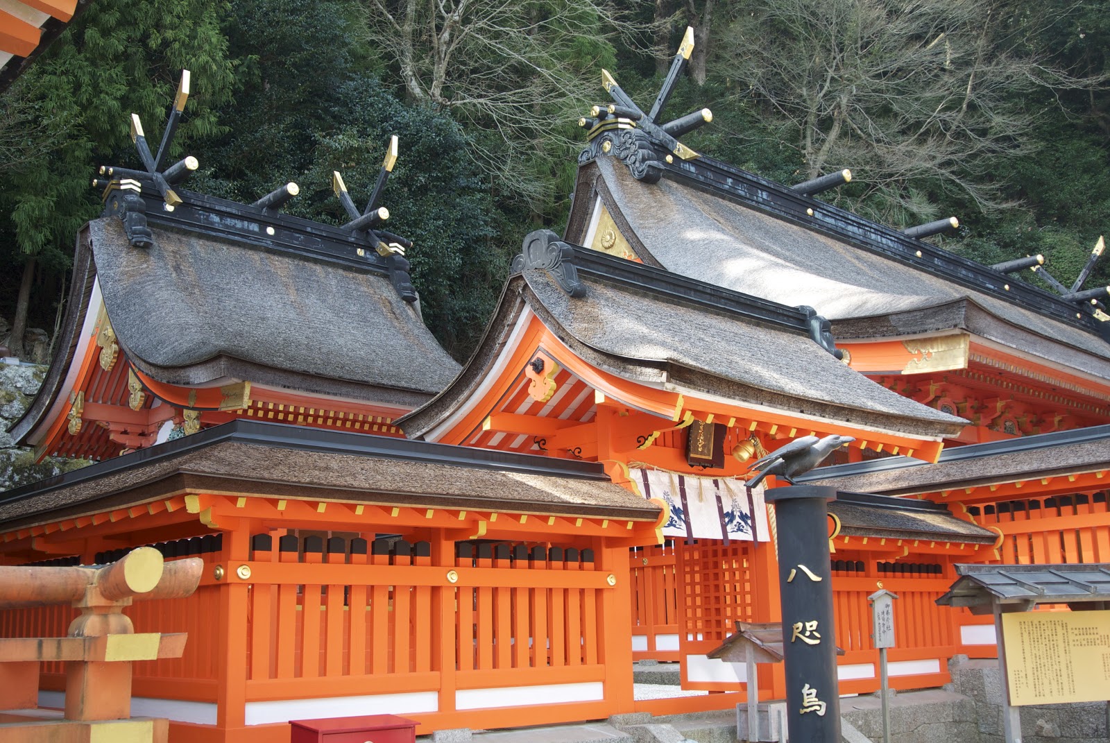 Global History (Pd 10): 2013