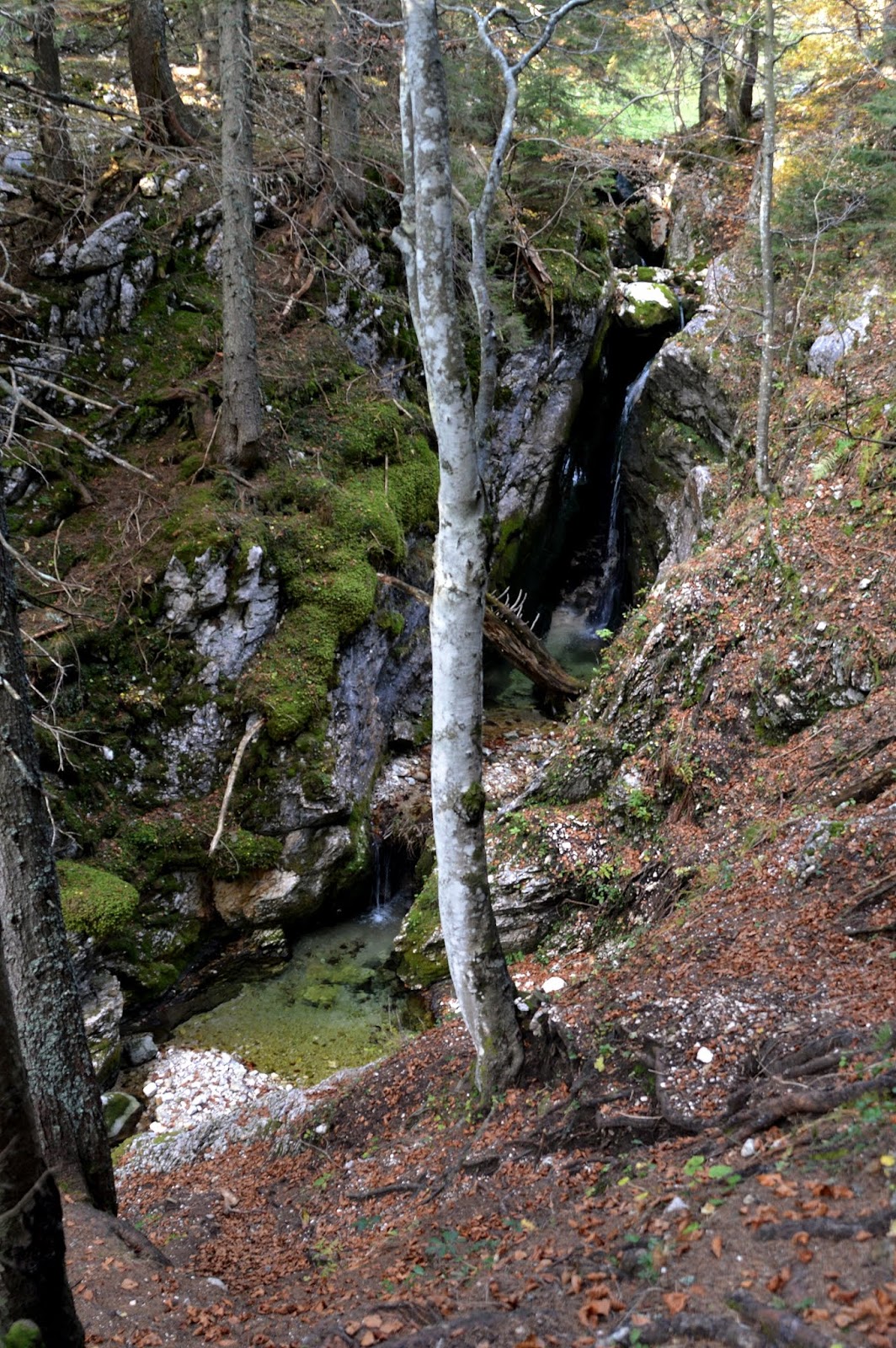 Ljepote planina: Triglav - staza, Rudno polje - Vodnikov dom - Planika ...