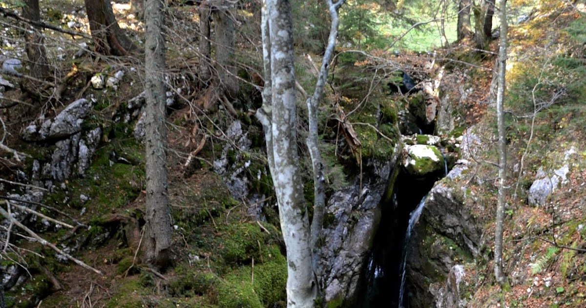 Ljepote planina: Triglav - staza, Rudno polje - Vodnikov dom - Planika ...
