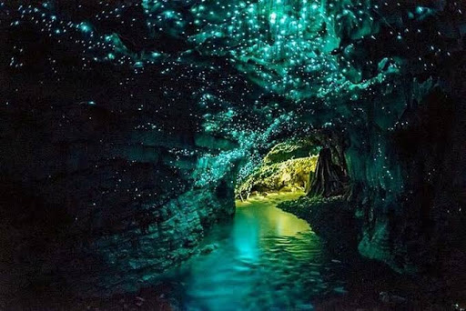 Waitomo Glowworm (Firefly) Caves (Waitomo, New Zealand)