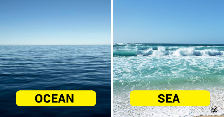 What is the difference between a river, a sea and an ocean? - Geography ...