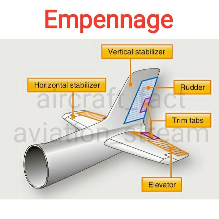 𝐄𝐦𝐩𝐞𝐧𝐧𝐚𝐠𝐞