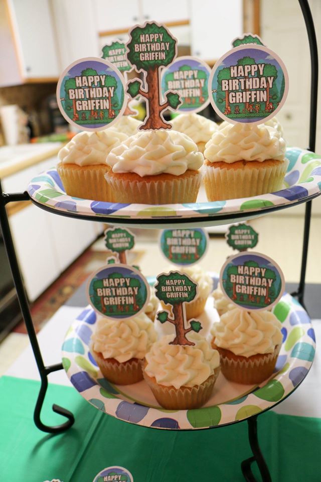 Missy Made It!: Griffin's 11th Birthday Party - Terraria Theme!