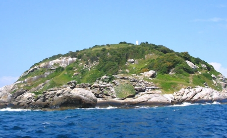 TEIA DA VIDA - CONHECER PARA PRESERVAR!: QUEIMADA GRANDE: A ILHA DAS COBRAS