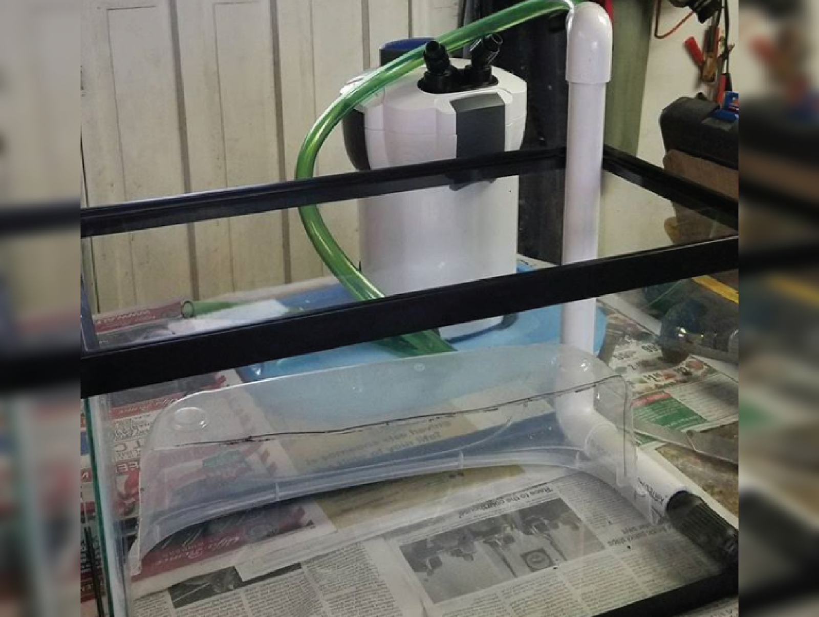 6 Jenis Filter Akuarium Yang Perlu Anda Ketahui - Nakama Aquatics