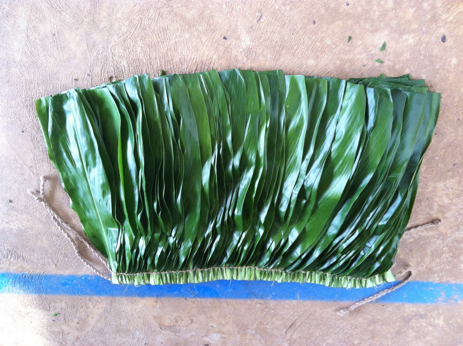 Woman of Polynesia: How To Make a Ti-Leaf Skirt