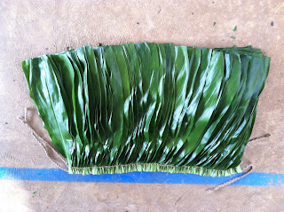 Woman of Polynesia: How To Make a Ti-Leaf Skirt