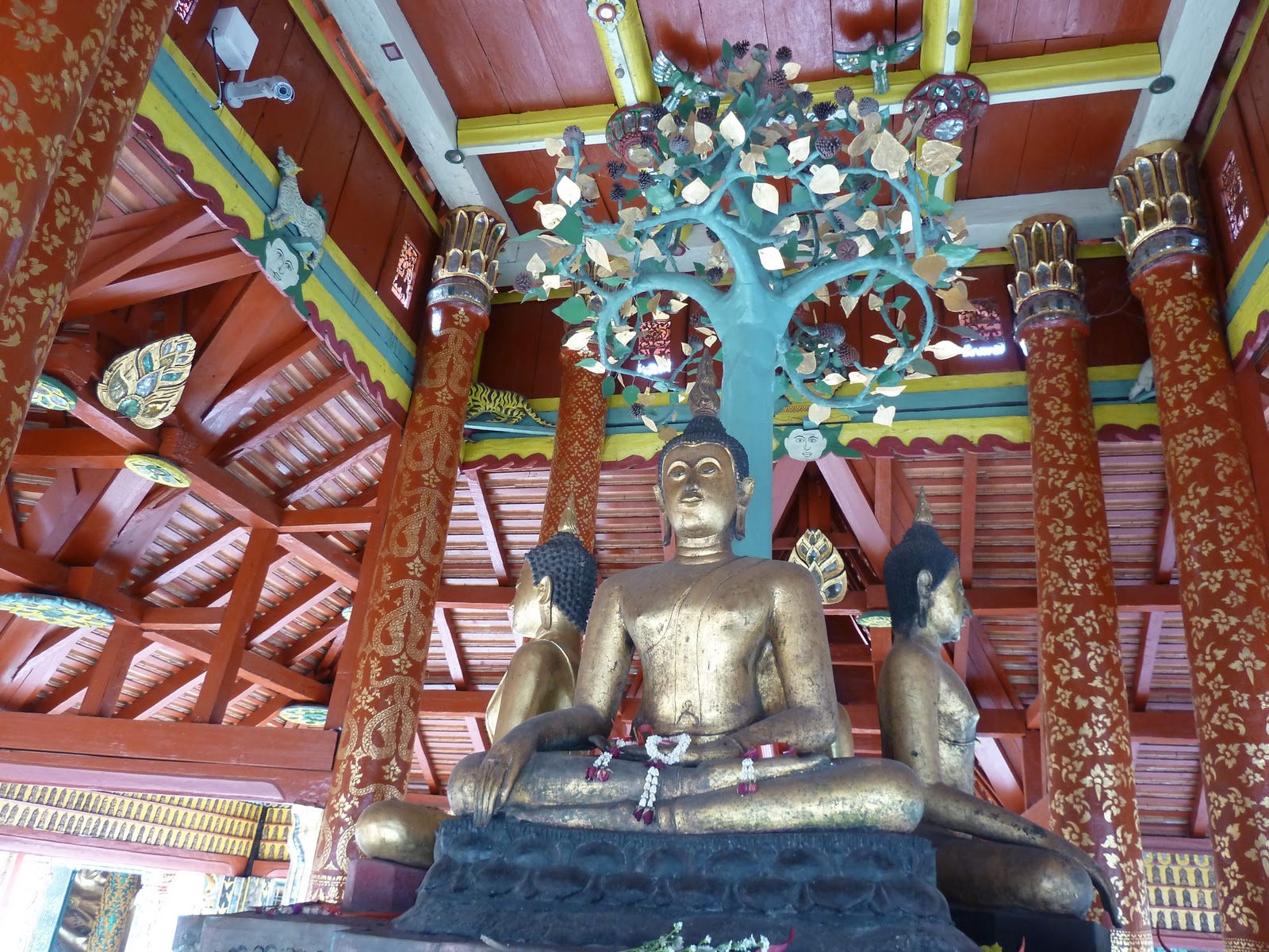 Much Ado About Us: Here a Wat, There a Wat, Everywhere a Wat, Wat