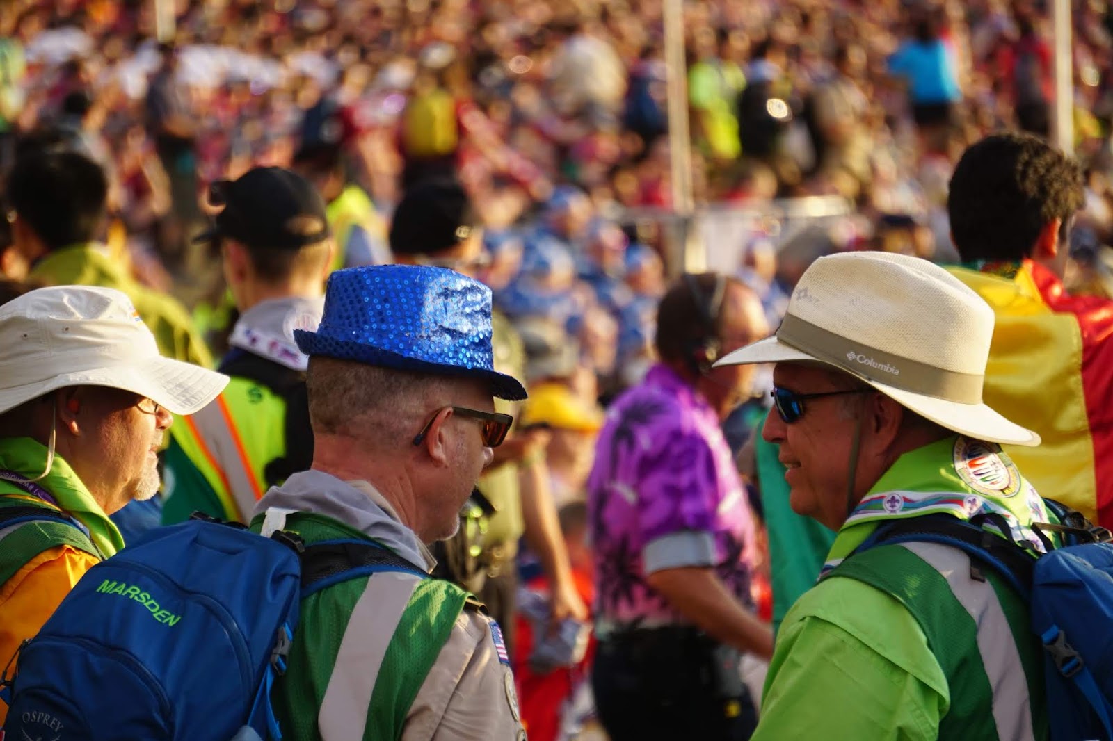 Scout Executive - A Scouting Journey