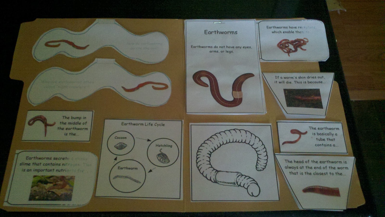 Sack Family Adventures: Earthworms - Speedy Lapbook by Homeschool Bits ...