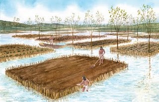 Pelos Caminhos na História: A Civilização Asteca