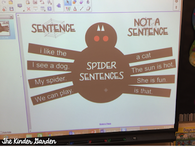 The Kinder Garden: Spider Study!