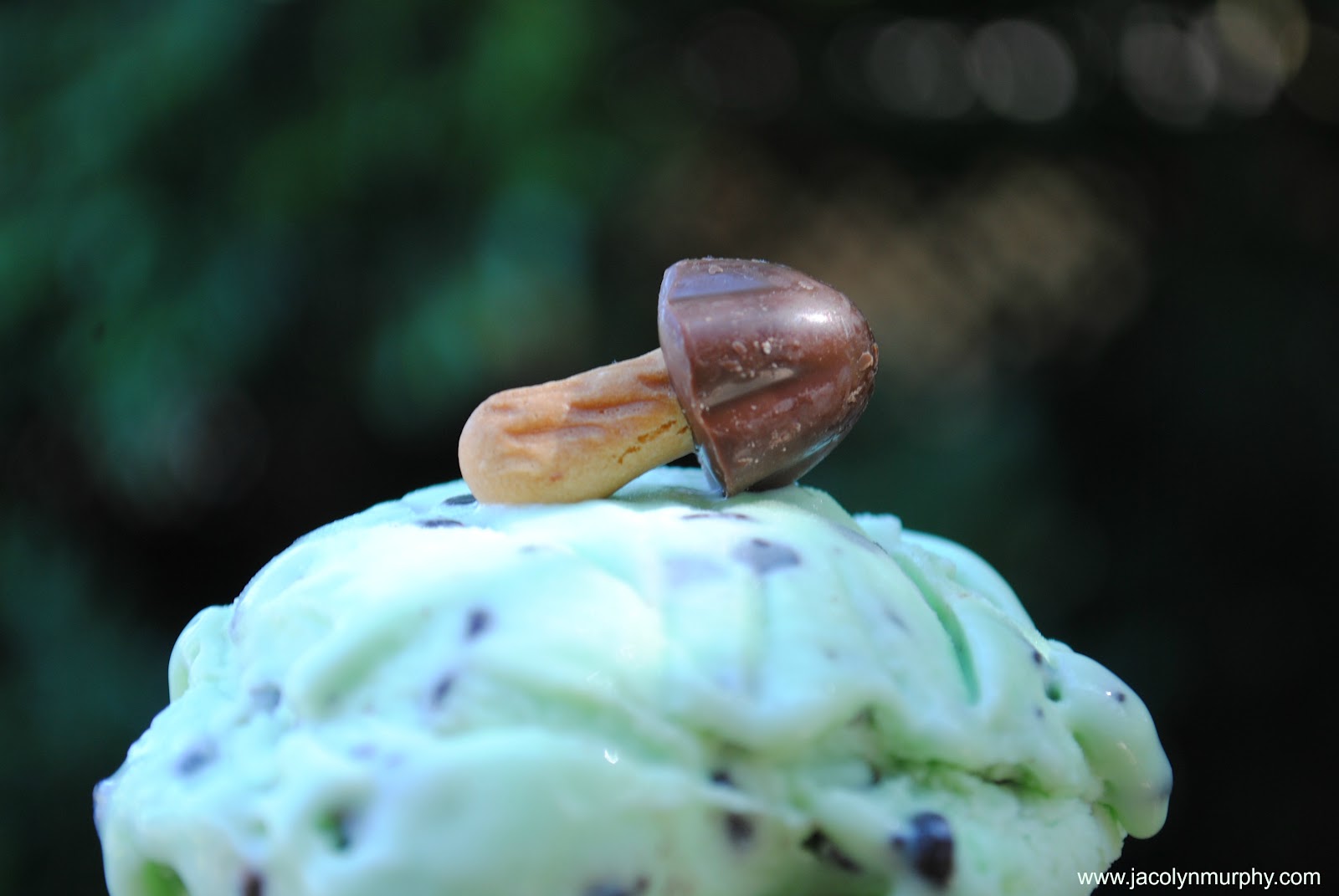 Jac o' lyn Murphy: Mushroom Ice Cream