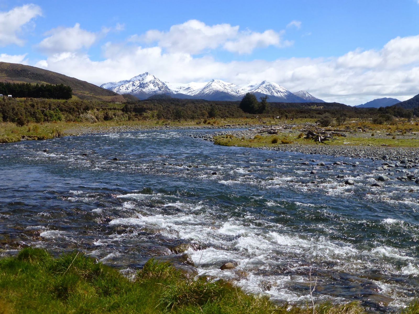 Another Day in New Zealand: Aparima Hike
