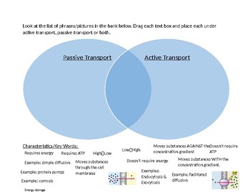 Passive Transport Vs Active Transport Venn Diagram - Collage Template