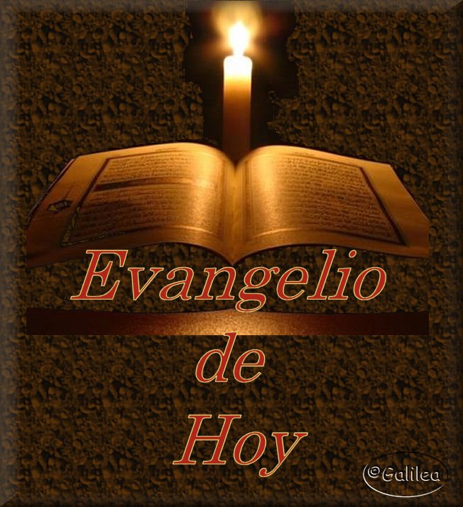 Grupo Juvenil FAMEC: El Evangelio Meditado del Día Domingo, diciembre 9 ...