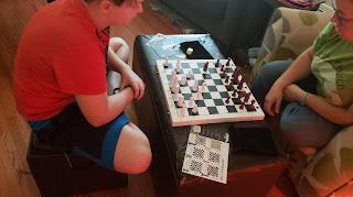 Walking Home . . .: Fun Family Chess ~~ A New TOS Review!!