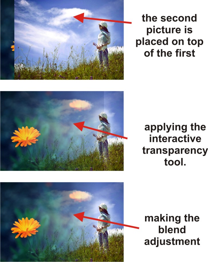 Blending Images Using CorelDraw | My VA Journal