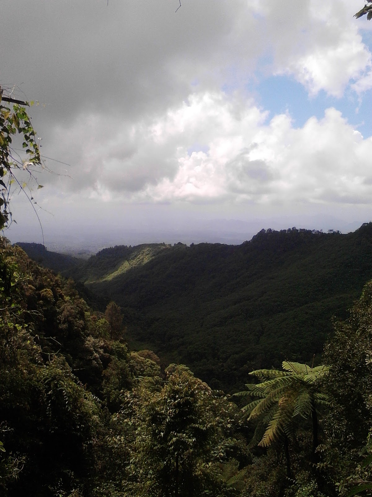 byuhbyuh: MENYIBAK EKSOTIKA LERENG GUNUNG WILIS