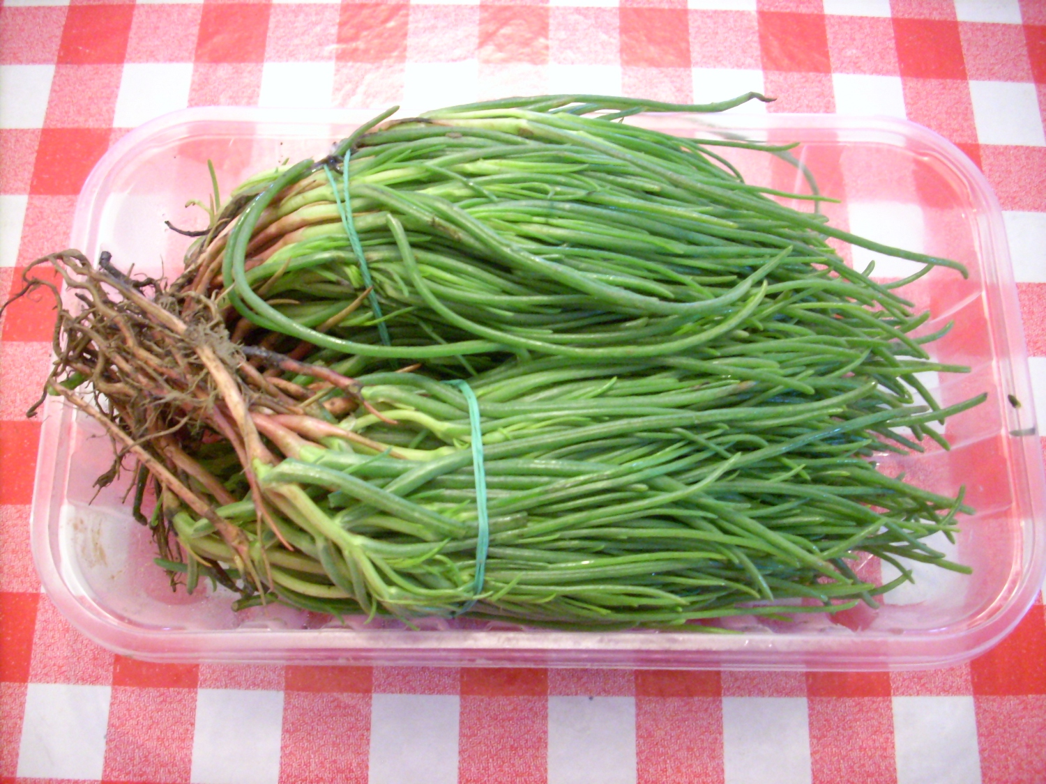 AURORA: I like cooking: Agretti o barba di frate