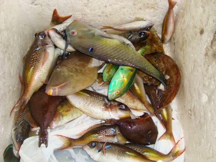 She's The Mom: Filipino Food with Funny Names