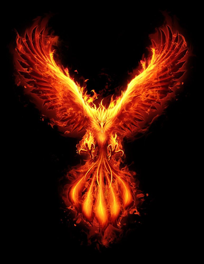 The Phoenix Effect: Our Cycle of Death and Resurrection