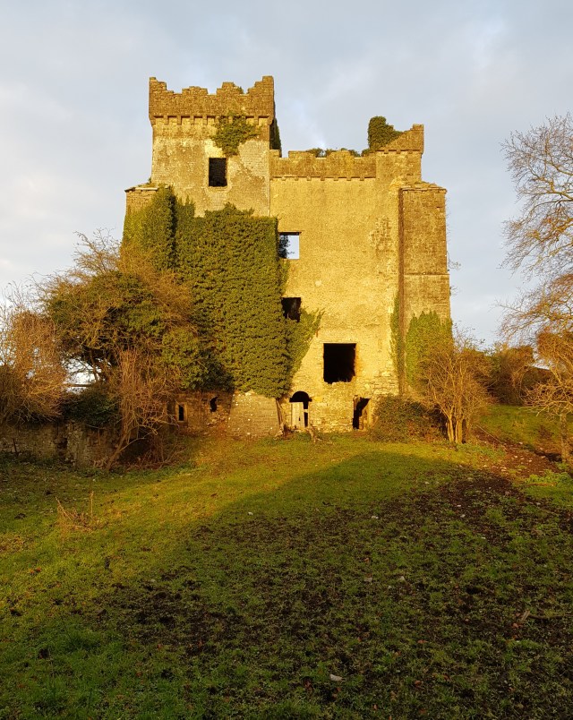 Landed families of Britain and Ireland: (401) Barnewall of Trimlestown ...