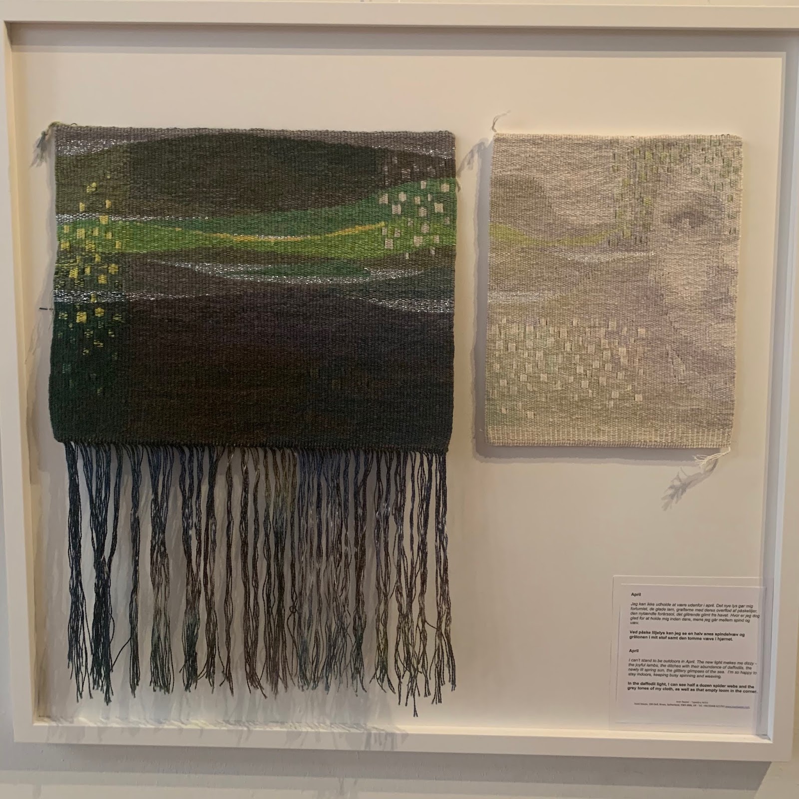 moments of perfect clarity: Joan Baxter's tapestry series :: The Weaver