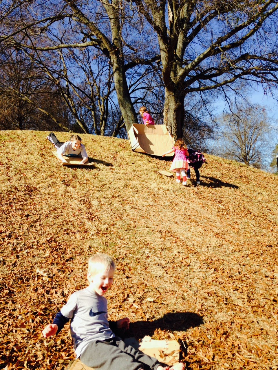 interior castle: Grass sledding 2014