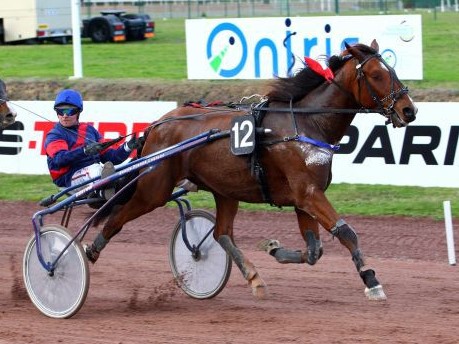 "OYONNAX" BIENVENU SÛR MON BLOG!!: LE CHEVAL EN OR!!