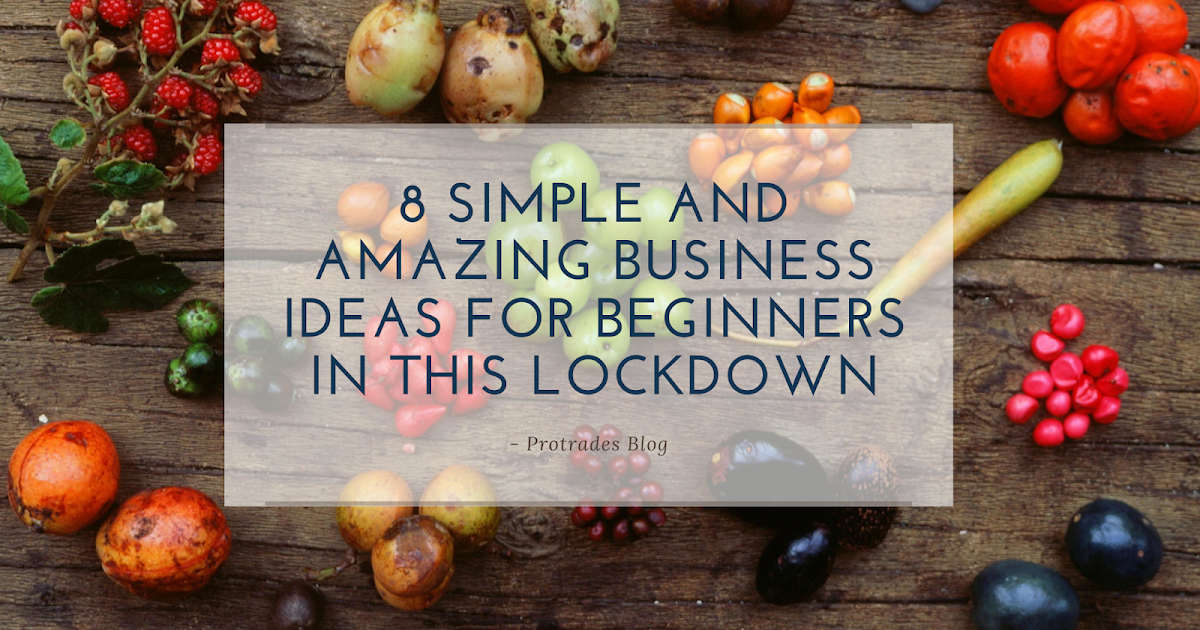 8 SIMPLE AND AMAZING BUSINESS IDEAS FOR BEGINNERS IN THIS LOCKDOWN ...
