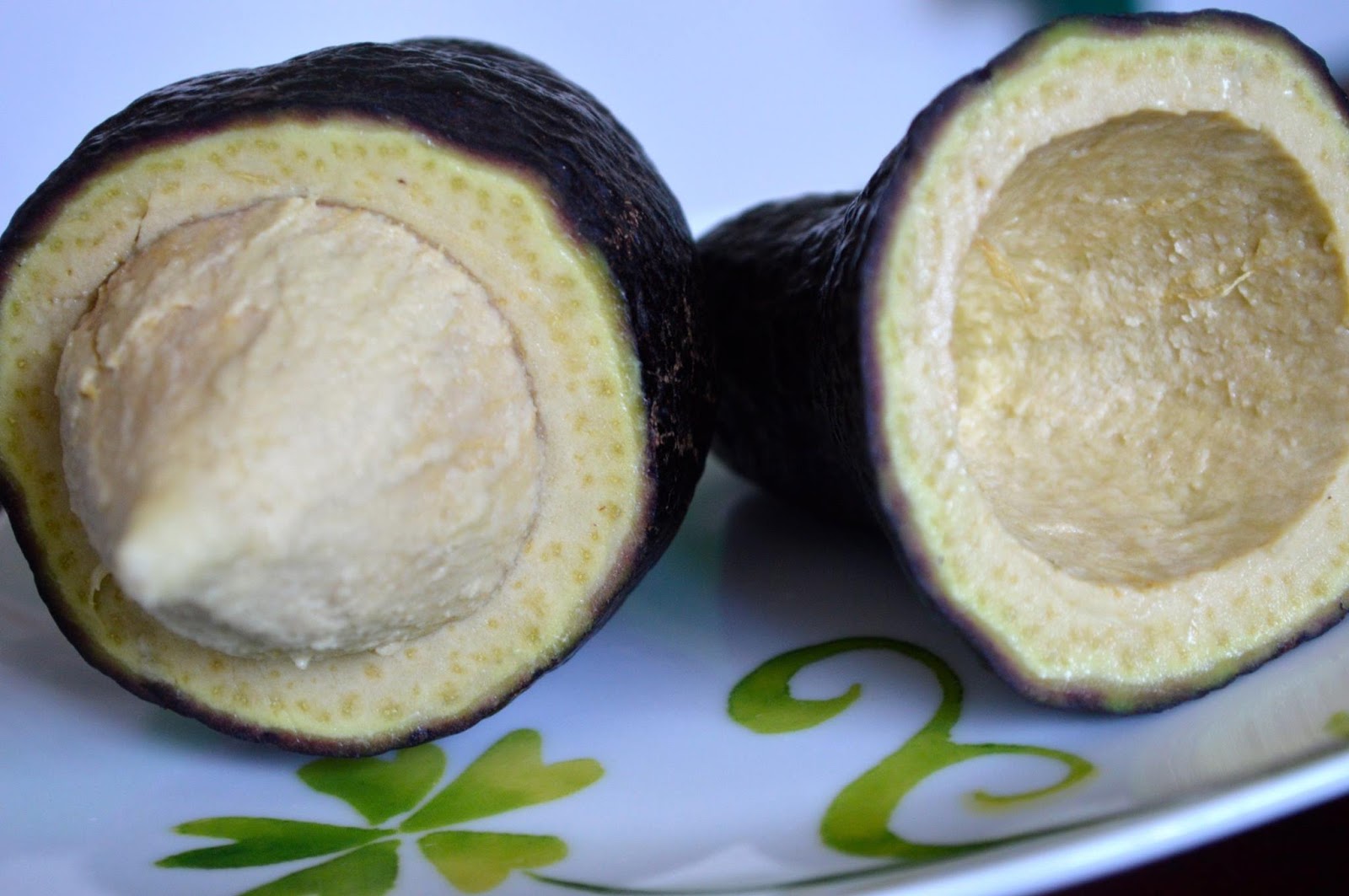 Punto de Teocelo: Punto de Teocelo - Saca el huerto y su proyecto del ...