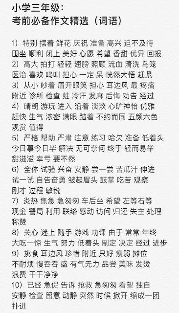 Primary 3 Chinese Model Compositions