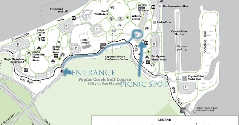 Coyote Point Picnic Area Magic