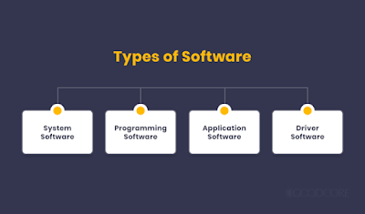 What are the types of software?