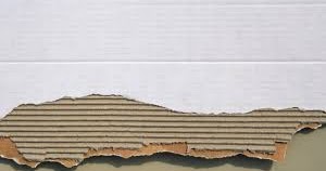 volver a empezar : ¿en cuanto tiempo se degrada el cartón?