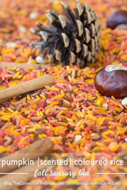 November Classroom Ideas And Activities! | Mrs. Hodge's Kids