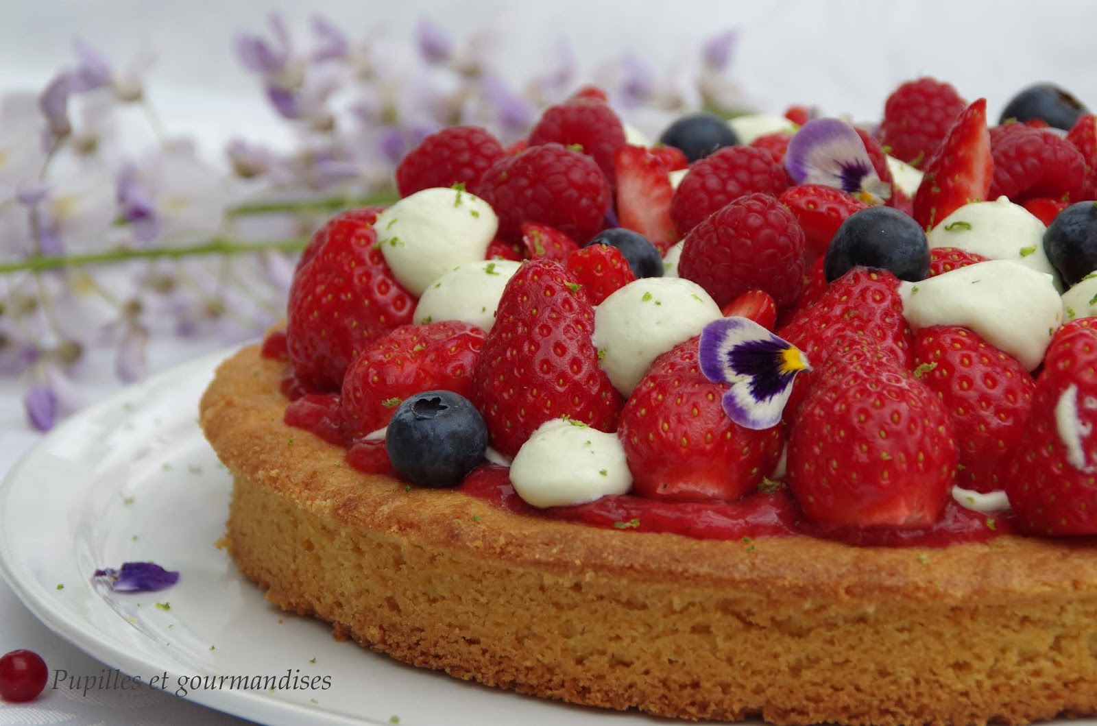 tarte aux fruits rouges sur sablé breton