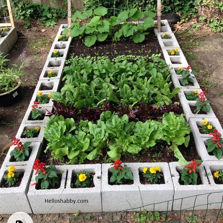7 Awesome Cinder Block Garden Ideas for Your Home ~ HelloShabby.com ...