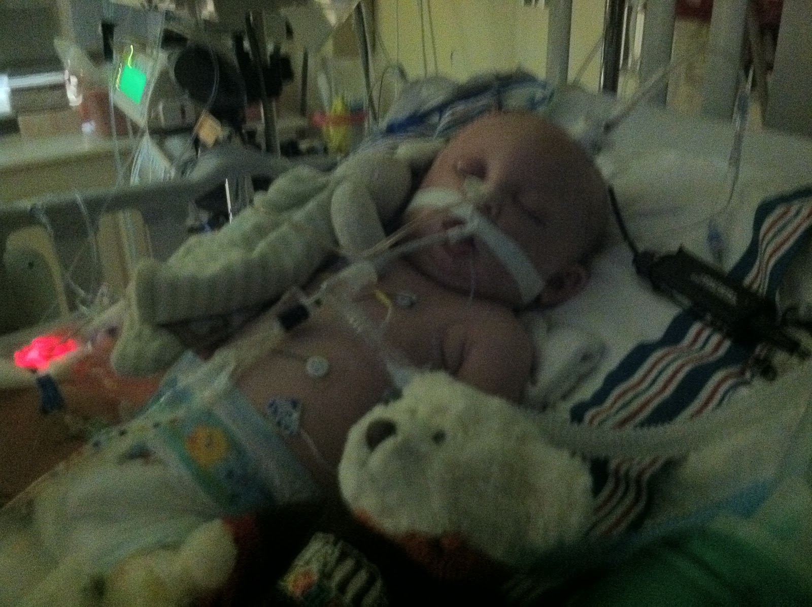 WWMD: What Would Maria Do?: Sharing A Miracle