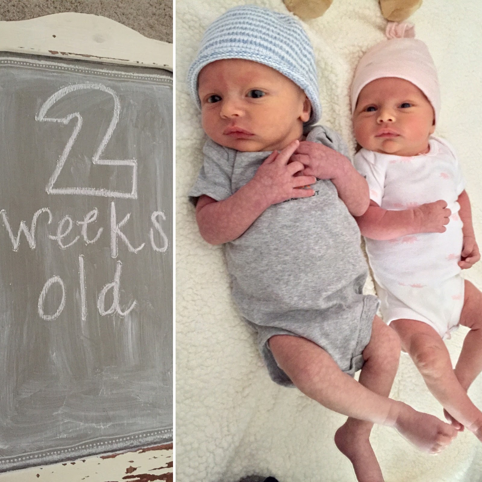 Keithing up with the Twins: Growing Babies...