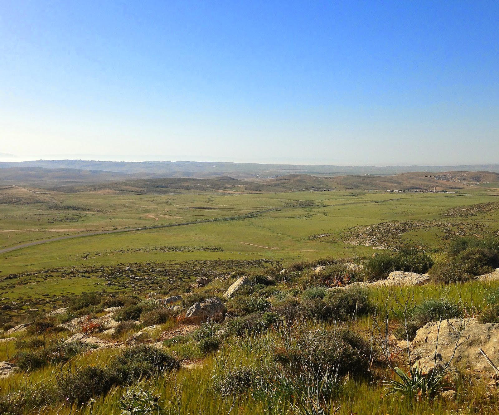 Birding Poole Harbour & Beyond: 8 April 14 - The Green Green Grass Of ...