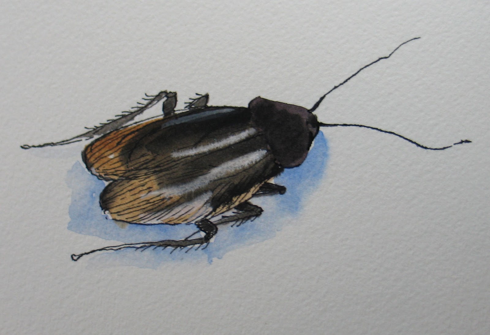 Nel's Everyday Painting: Beautiful Bugs - SOLD