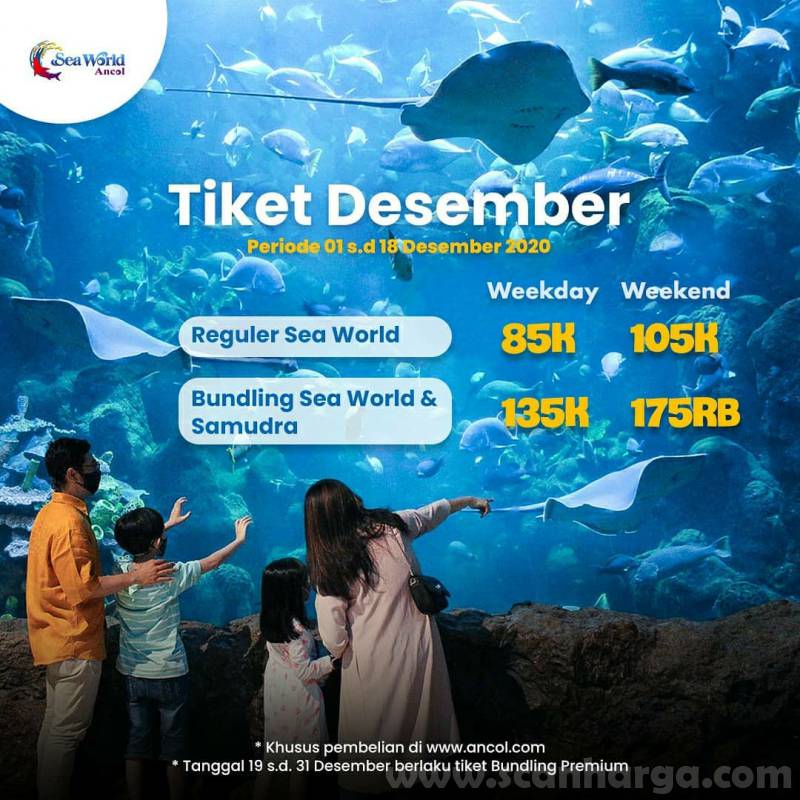 Promo Sea World Ancol Harga Spesial Tiket Masuk mulai dari Rp 85.000 ...